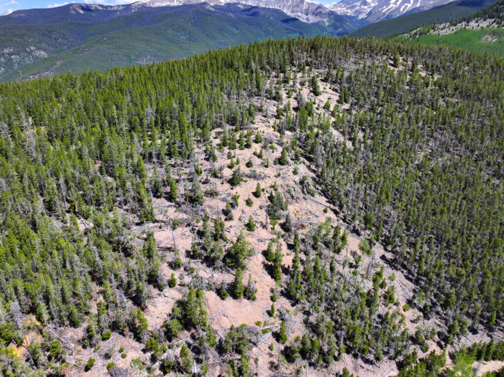 Deadman’s Gulch Hunting Land For Sale Colorado | 170+ Acres