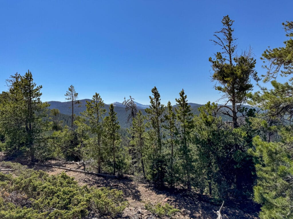 Deadman’s Gulch Hunting Land For Sale Colorado | 170+ Acres