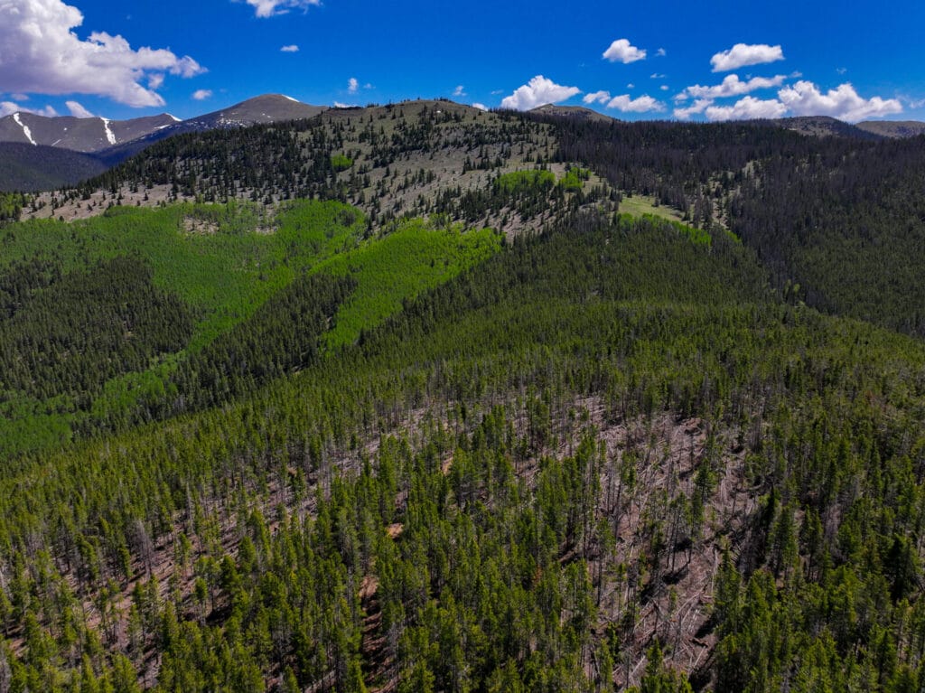 Deadman’s Gulch Hunting Land For Sale Colorado | 170+ Acres
