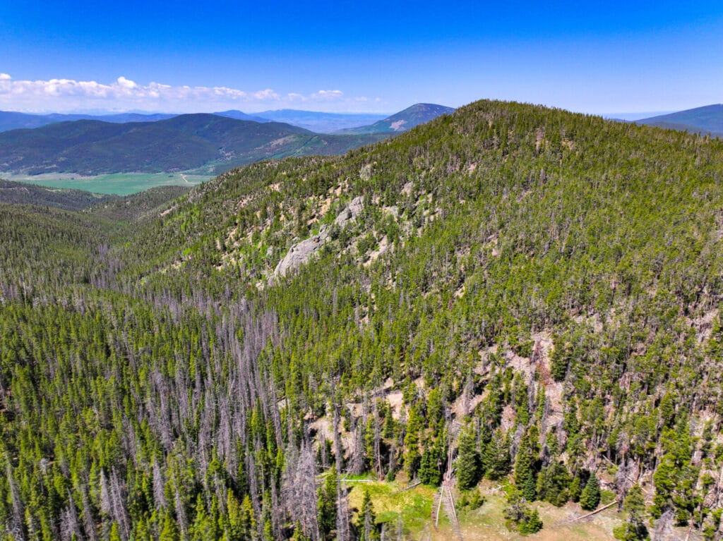 Deadman’s Gulch Hunting Land For Sale Colorado | 170+ Acres