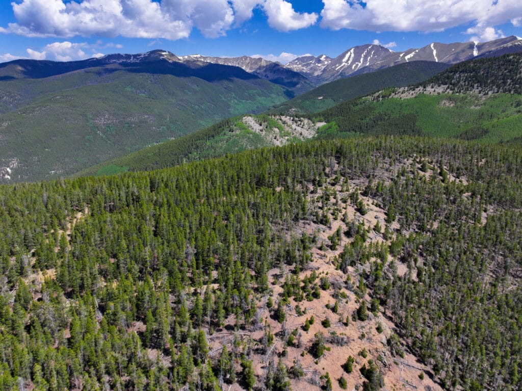 Deadman’s Gulch Hunting Land For Sale Colorado | 170+ Acres