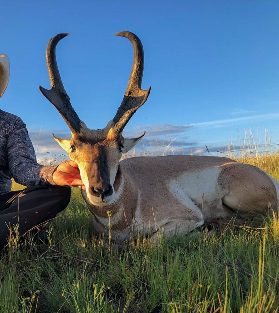 X Spear Elk & Cattle Ranch For Sale New Mexico | 3,200± Acres