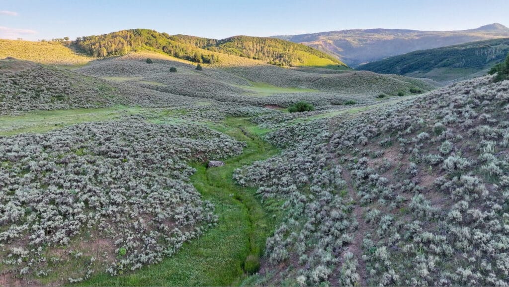 Big Ragged Mountain Ranch For Sale Colorado | 3760± Acres