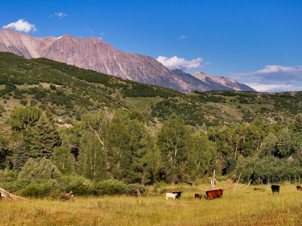 Big Ragged Mountain Ranch For Sale Colorado | 3760± Acres