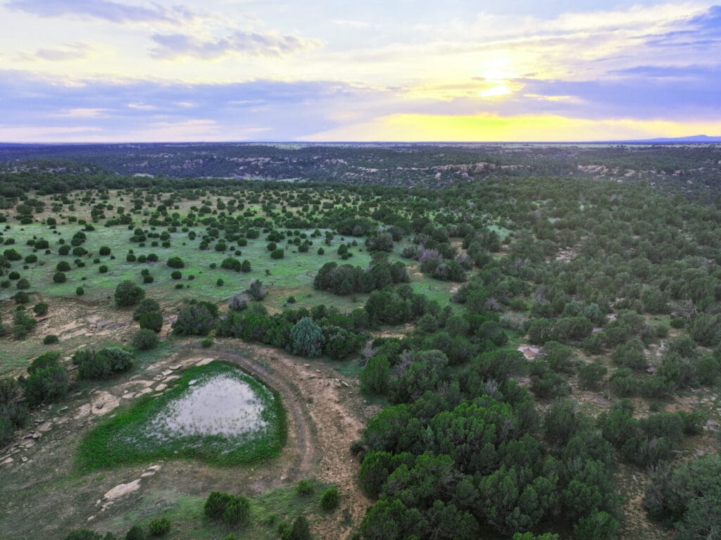 Cliffside Ranch For Sale in New Mexico | Hunting Ranch | M4 Ranch Group
