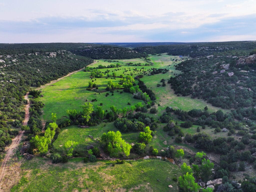 Cliffside Ranch For Sale in New Mexico | Hunting Ranch | M4 Ranch Group