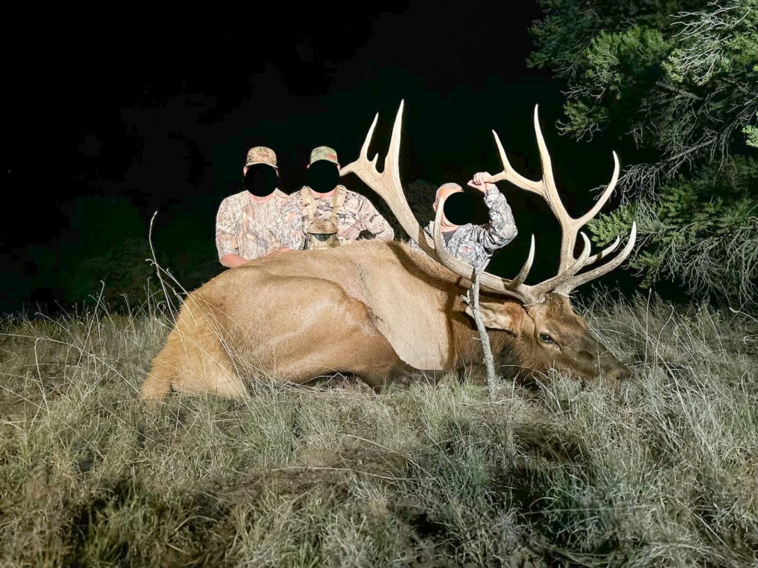 Maximizing Land Use with Landowner Tags | A Practical Guide