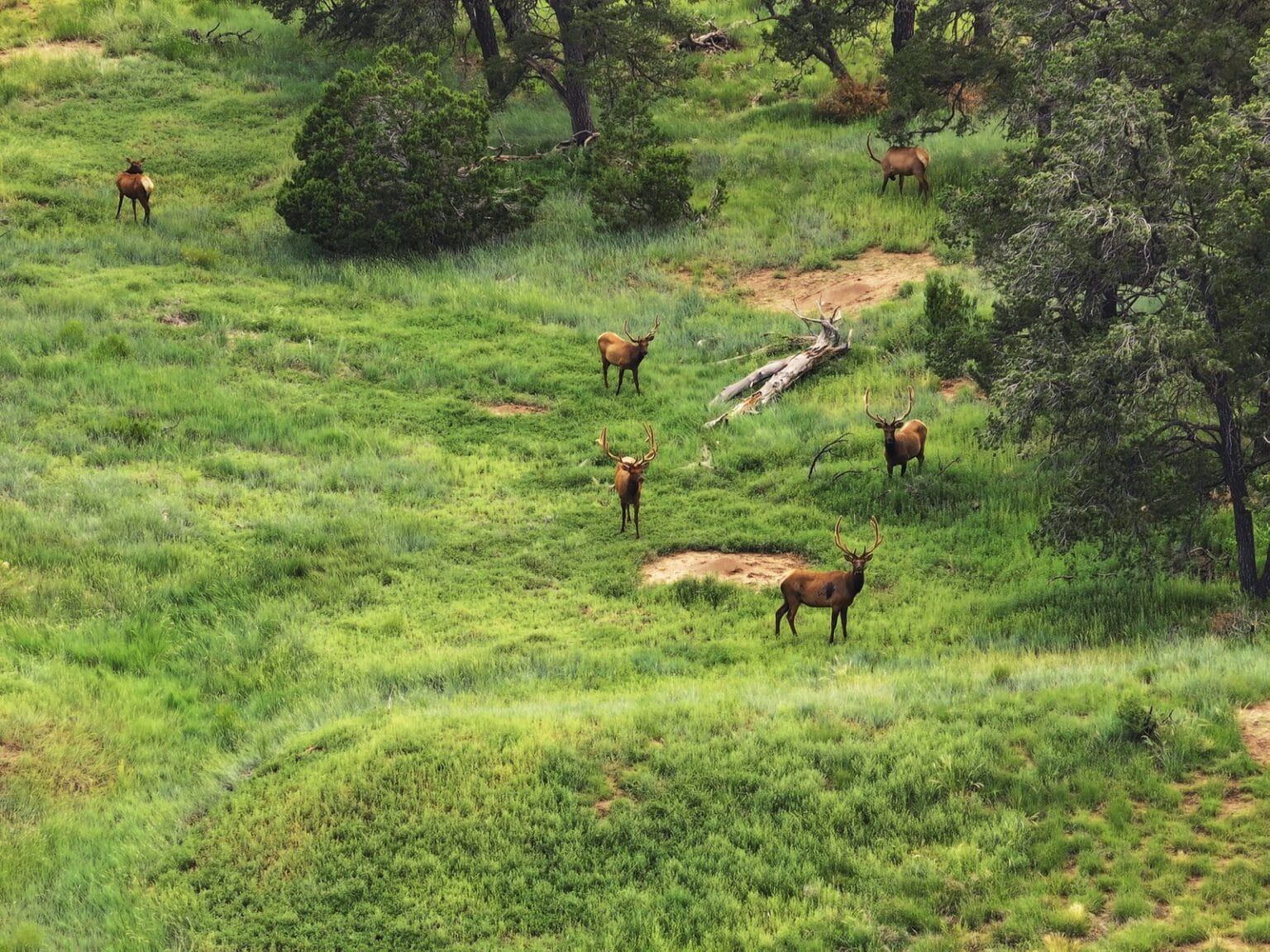 Maximizing Land Use with Landowner Tags | A Practical Guide