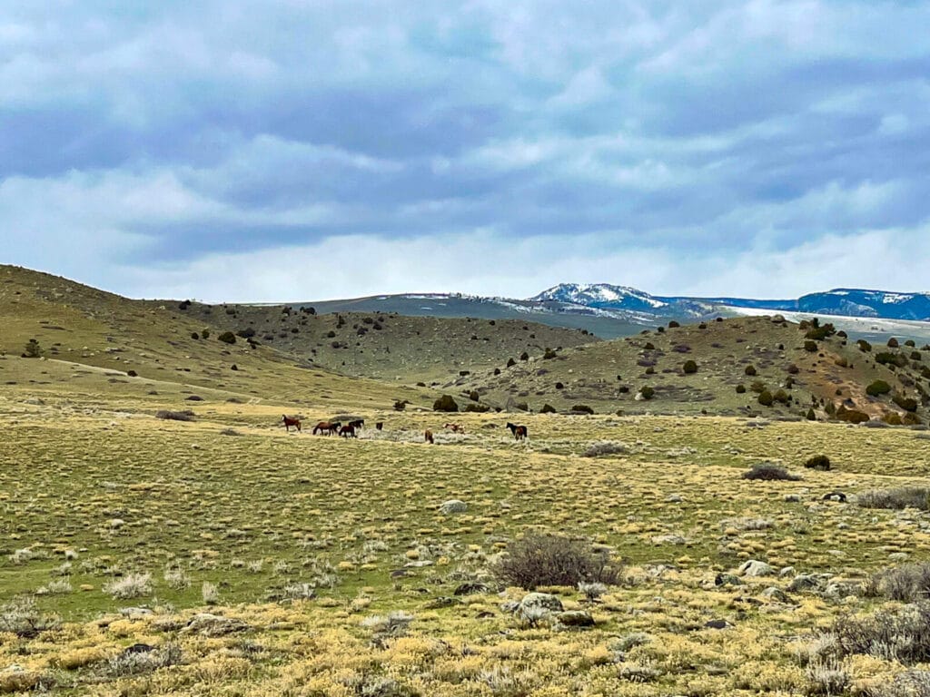 Little Windy Ranch For Sale Wyoming | Hunting and Fishing Ranch