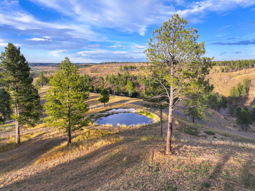 Sundance Ranchette For Sale Wyoming | 40+ Acre | M4 Ranch Group