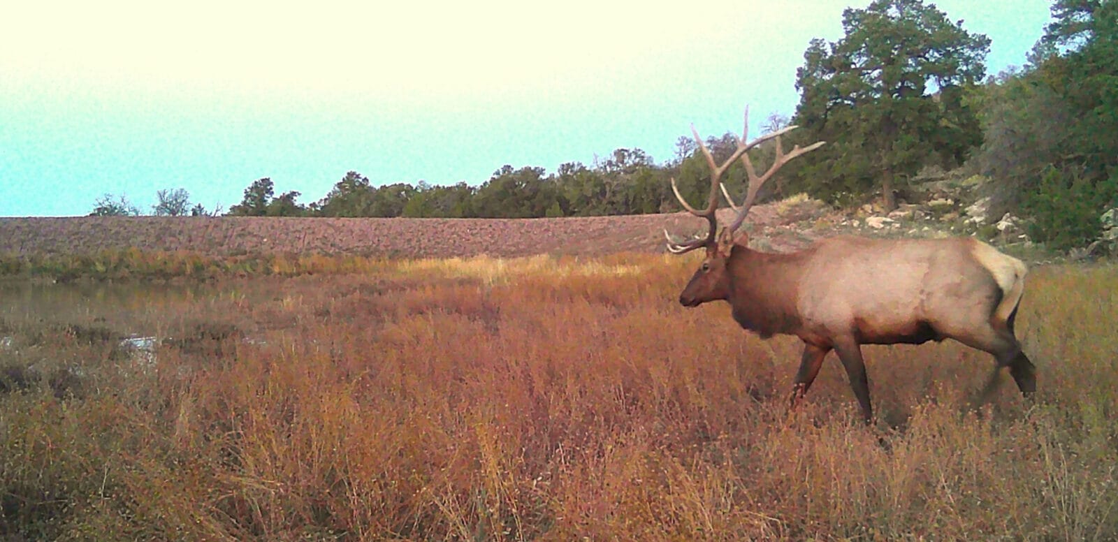 Maximizing Land Use with Landowner Tags | A Practical Guide