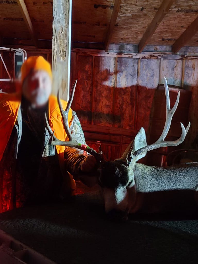 Deacon Gulch Ranch For Sale in Colorado | M4 Ranch Group