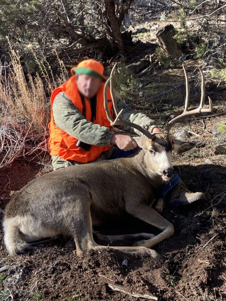 Deacon Gulch Ranch For Sale in Colorado | M4 Ranch Group