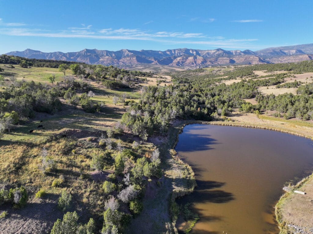 Deacon Gulch Ranch For Sale in Colorado | M4 Ranch Group