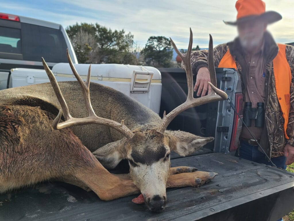 Deacon Gulch Ranch For Sale in Colorado | M4 Ranch Group