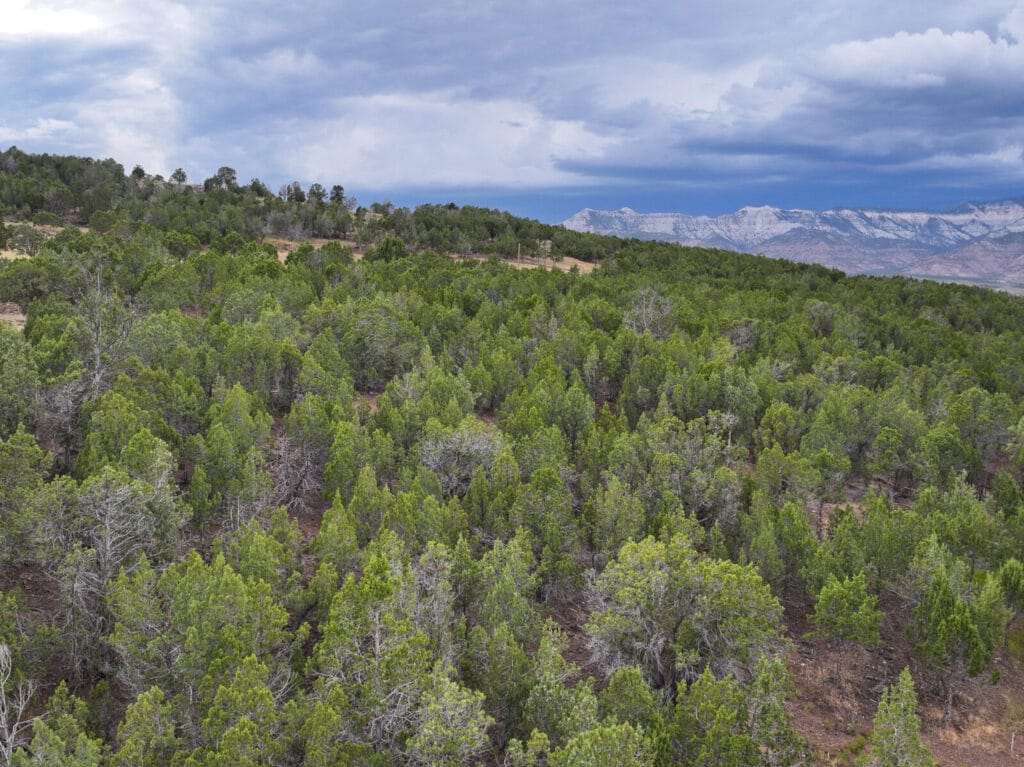 Deacon Gulch Ranch For Sale in Colorado | M4 Ranch Group