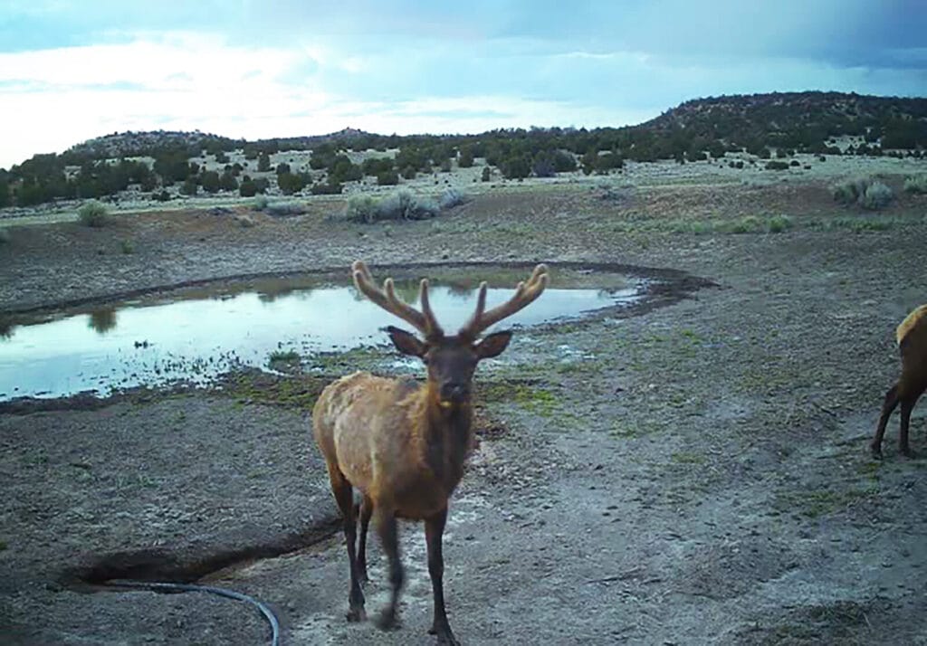 Elk Crossing Ranch For Sale NM | New Mexico Ranches For Sale