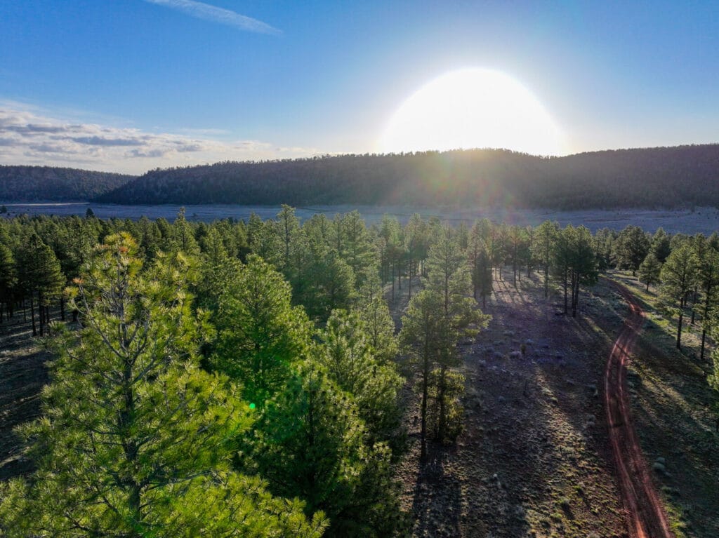 Bear Springs Ranch For Sale New Mexico | M4 Ranch Group