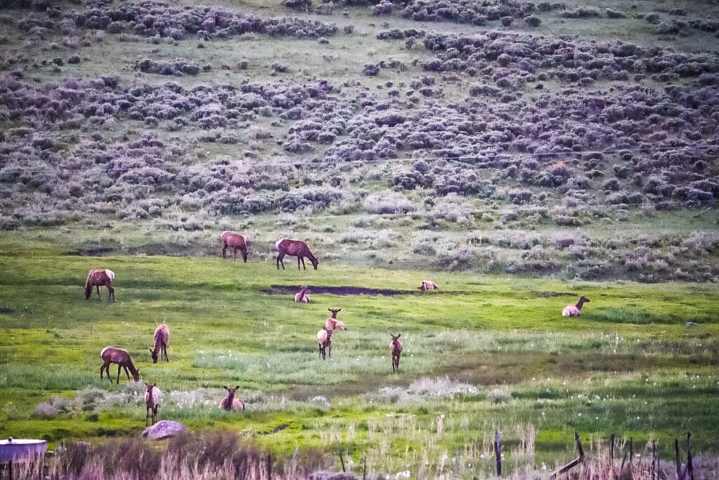 Pinnacle View Ranch For Sale in Colorado | M4 Ranch Group