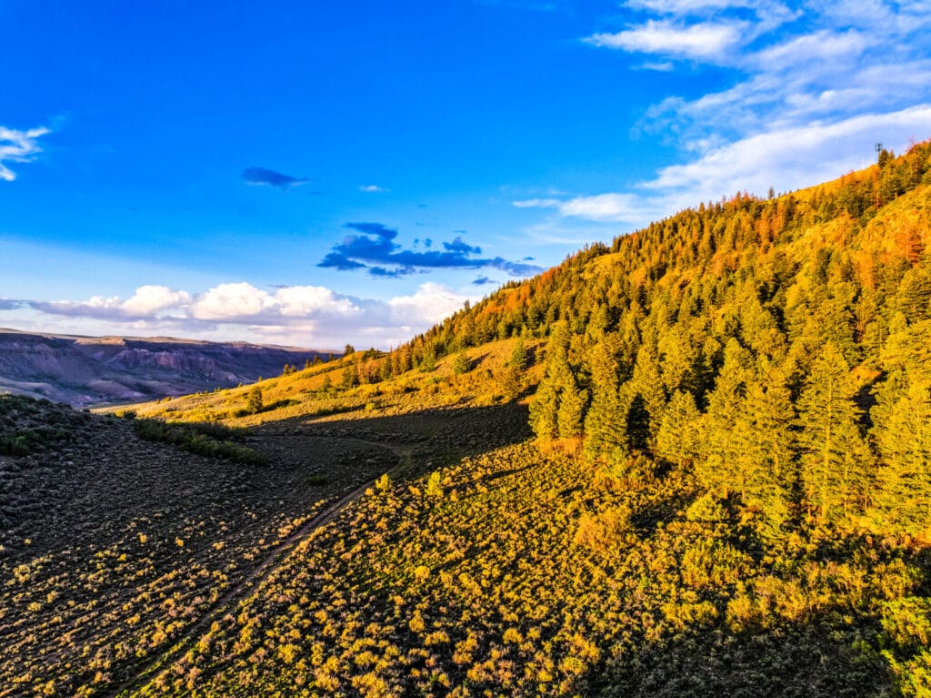 Pinnacle View Ranch For Sale in Colorado | M4 Ranch Group