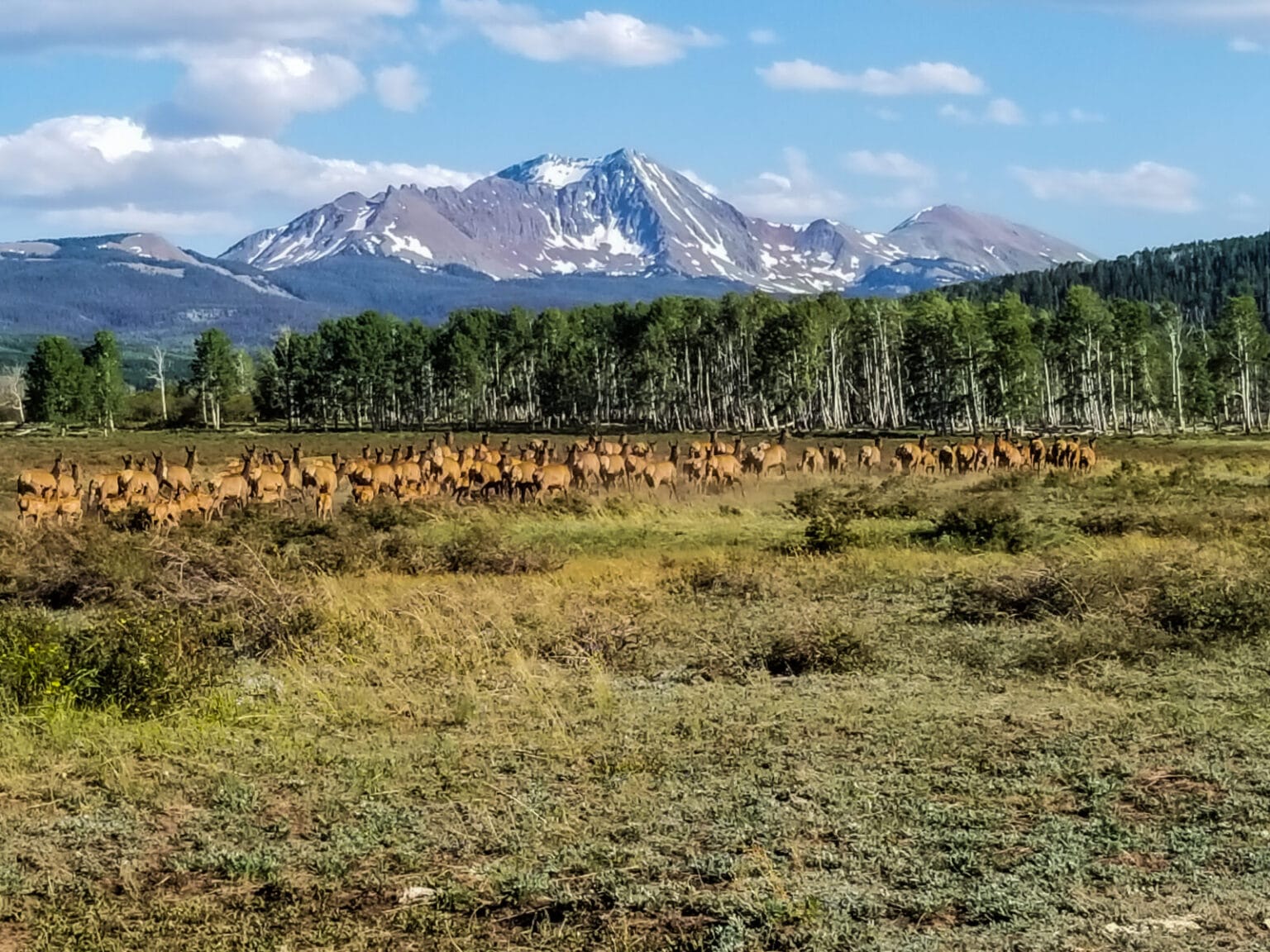Understanding the Landowner Preference Program | Colorado Guide