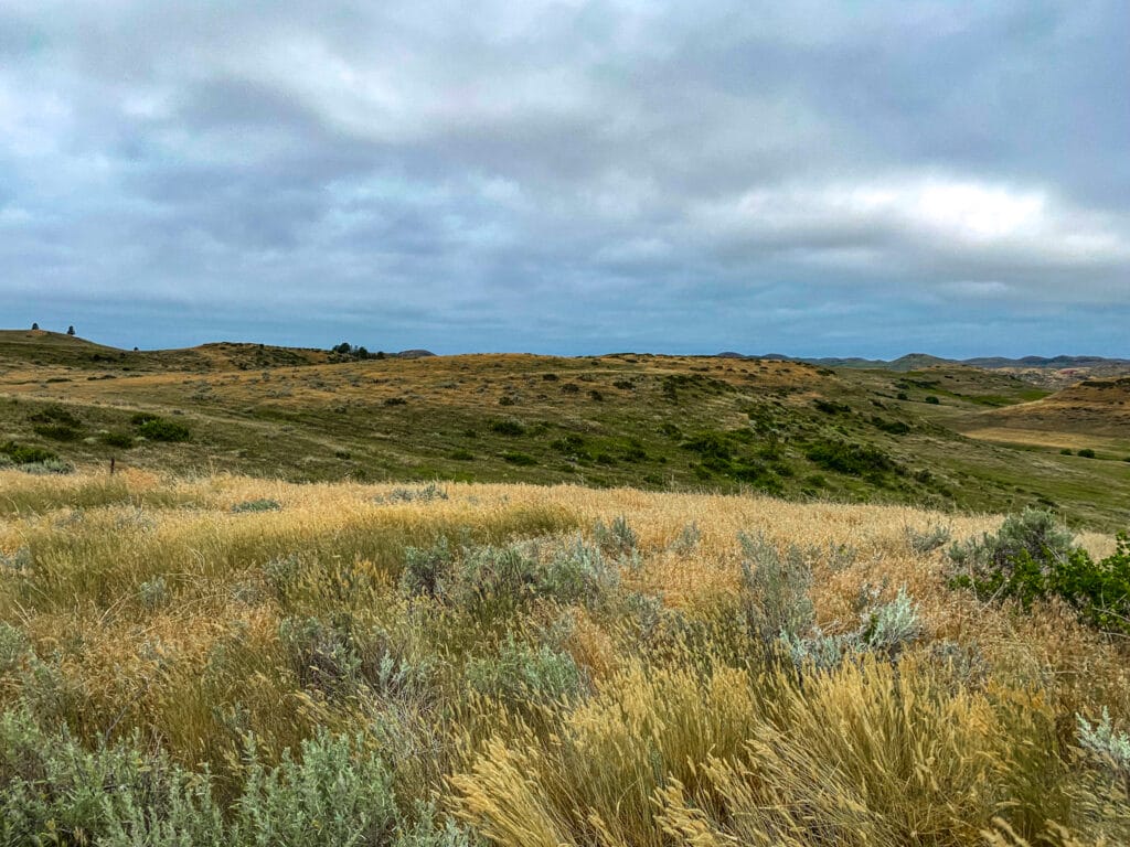 Dutch Creek Ranch For Sale Wyoming | WY Land | M4 Ranch Group