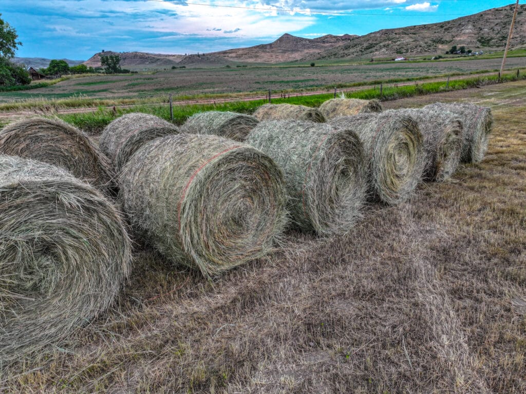 Dutch Creek Ranch For Sale Wyoming | WY Land | M4 Ranch Group