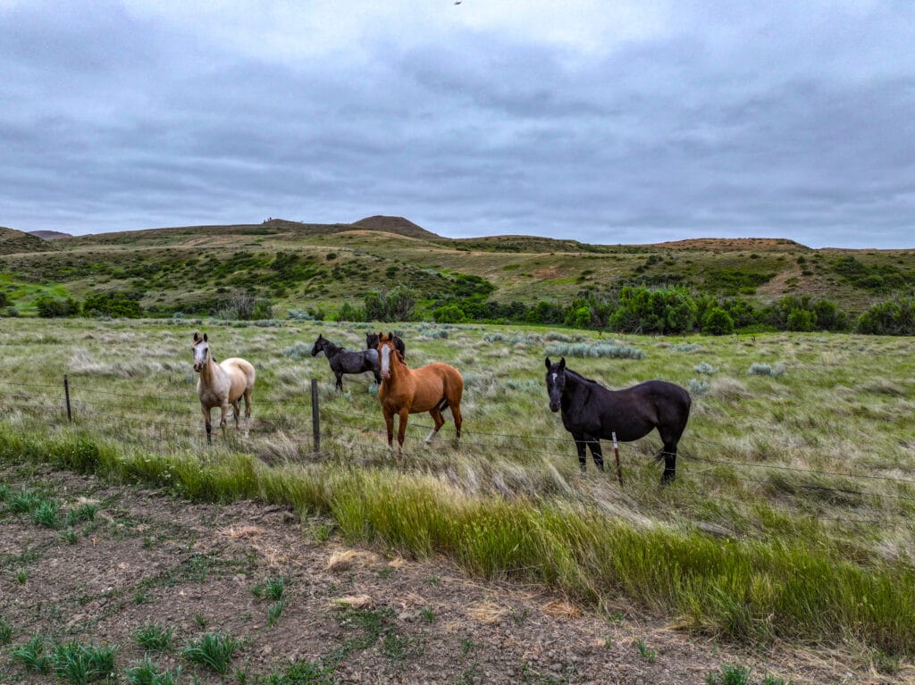 Dutch Creek Ranch For Sale Wyoming | WY Land | M4 Ranch Group