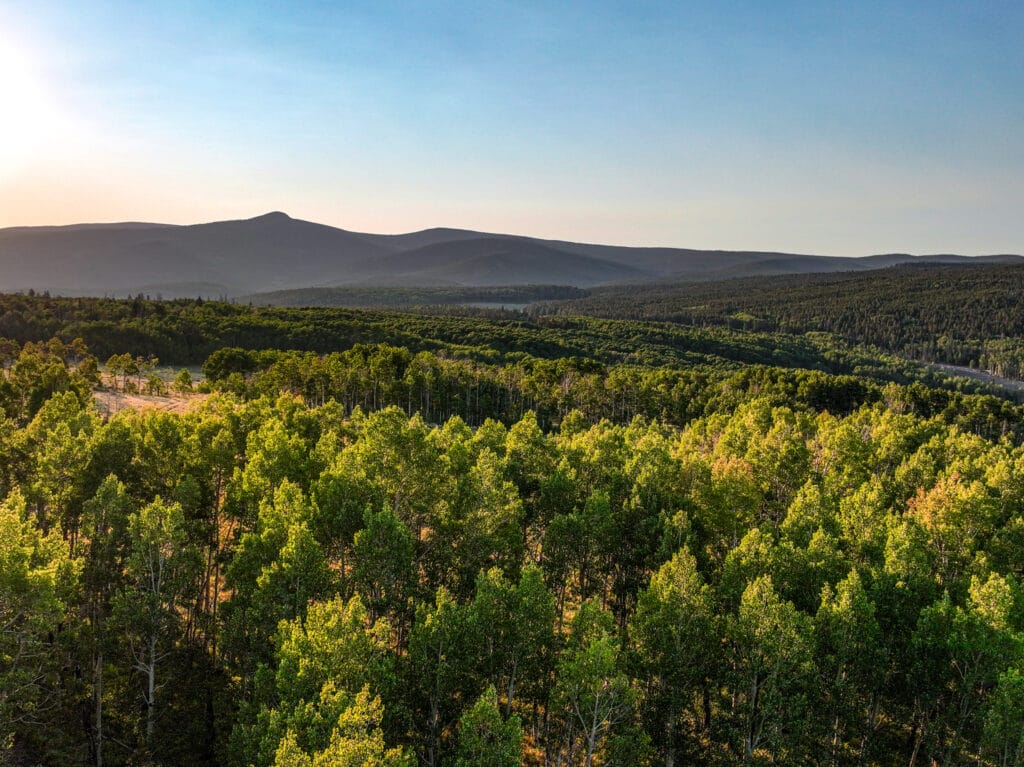 High Country Ranch — M4 Ranch Group